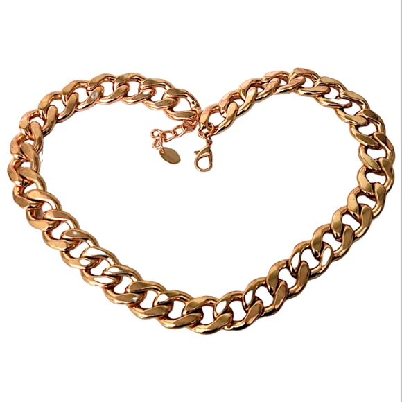 Zara | Jewelry | Zara Chain Link Necklace Nwot | Poshmark